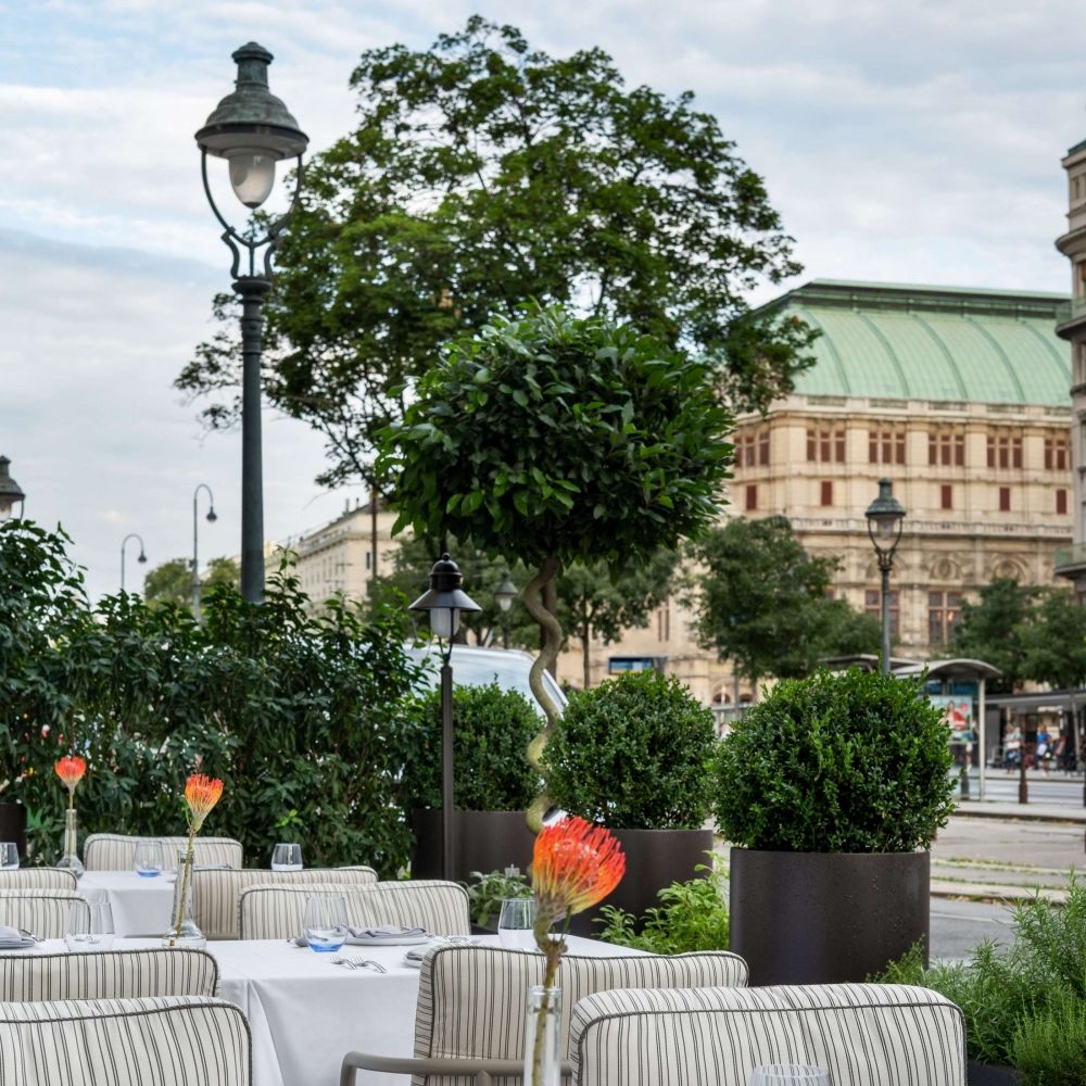 Restaurant Glasswing | Ringstraße bei der Wiener Oper | Bar & Bistro