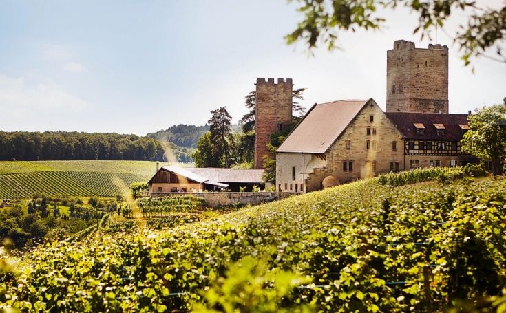 Restaurant Glasswing | OFFIZIELLE SEITE | Gourmetrestaurant bei der ...